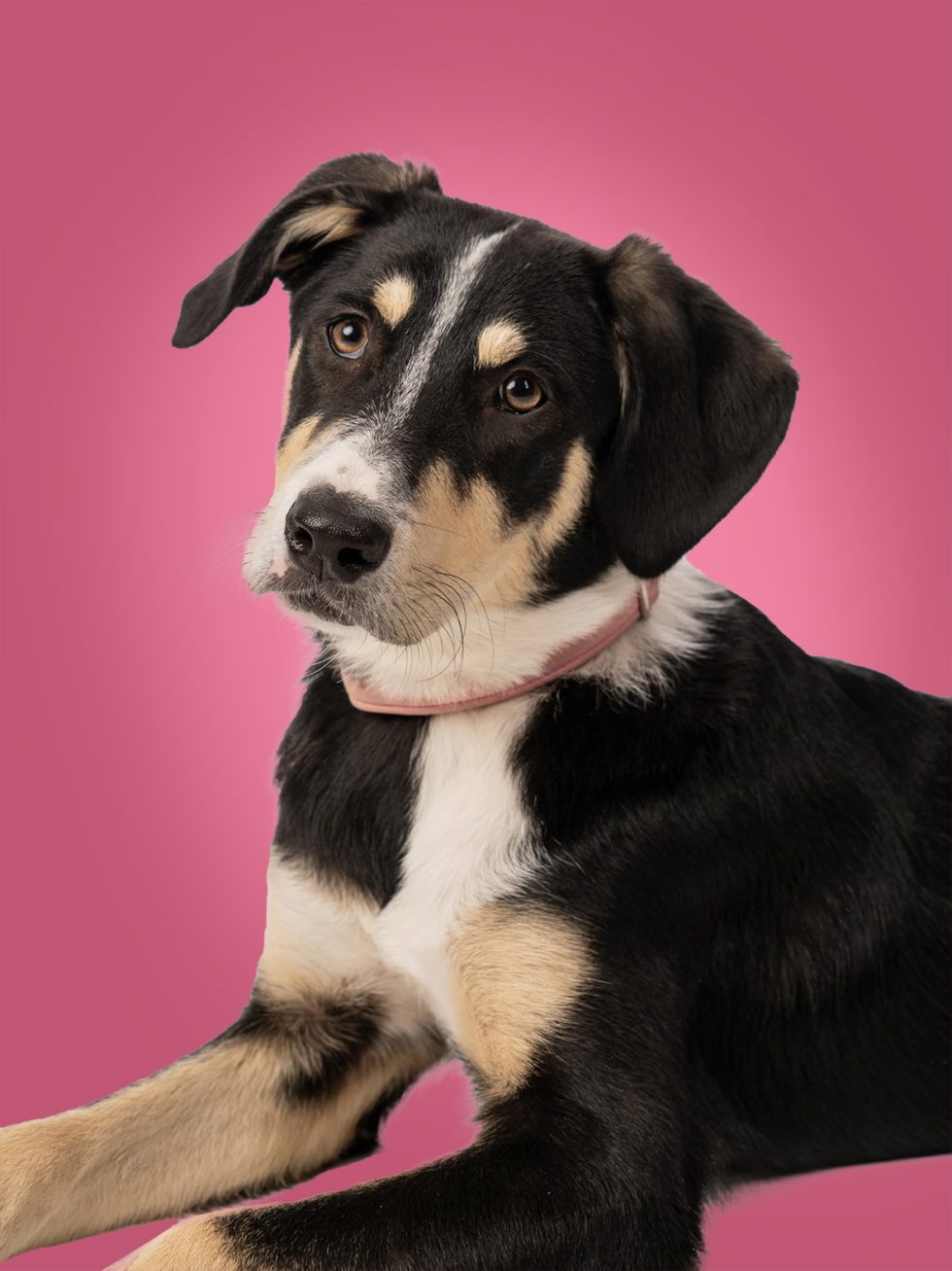 Druckerei Fuchs - Wir drucken und gestalten in Spalt